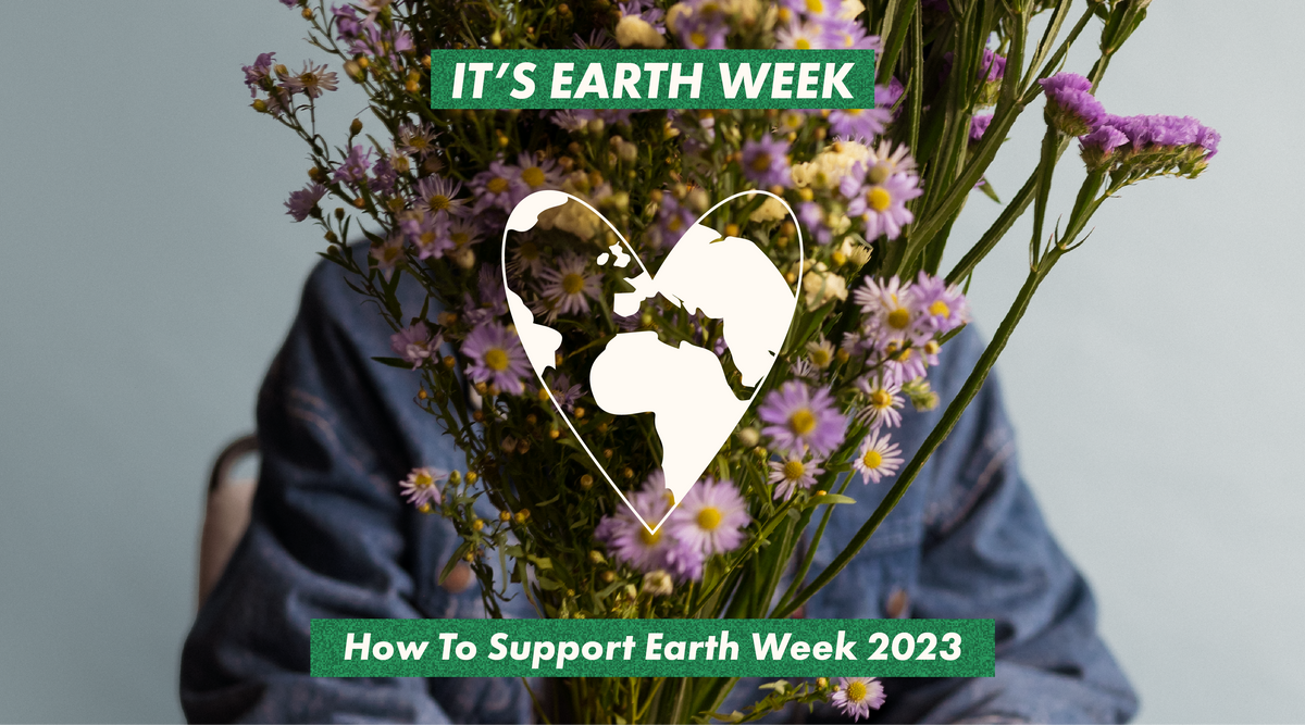 Earth Day 2023 – Beyond Retro